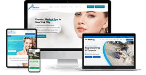 Website Design Mississauga - Wisevu Web Design & SEO
